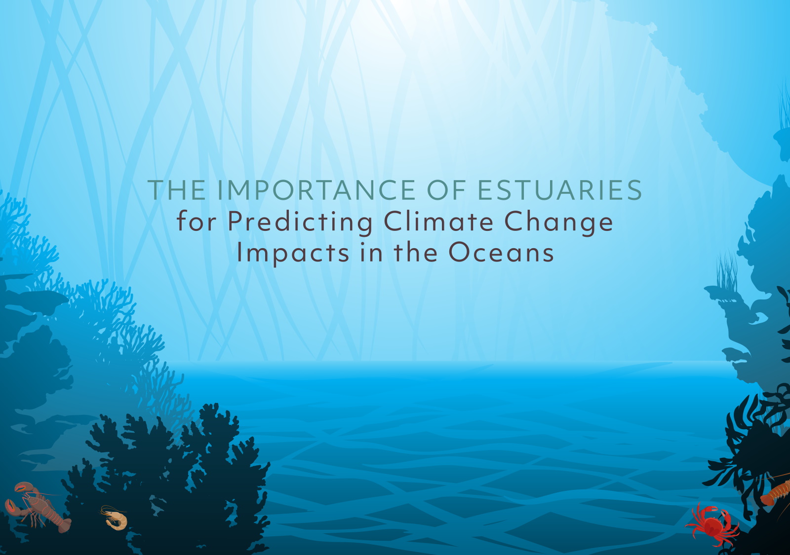 Krti Tallam | The Importance of Estuaries for Predicting Climate Change ...